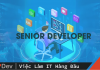 Senior là gì? Khi nào bạn từ Junior đủ lên trình Senior?