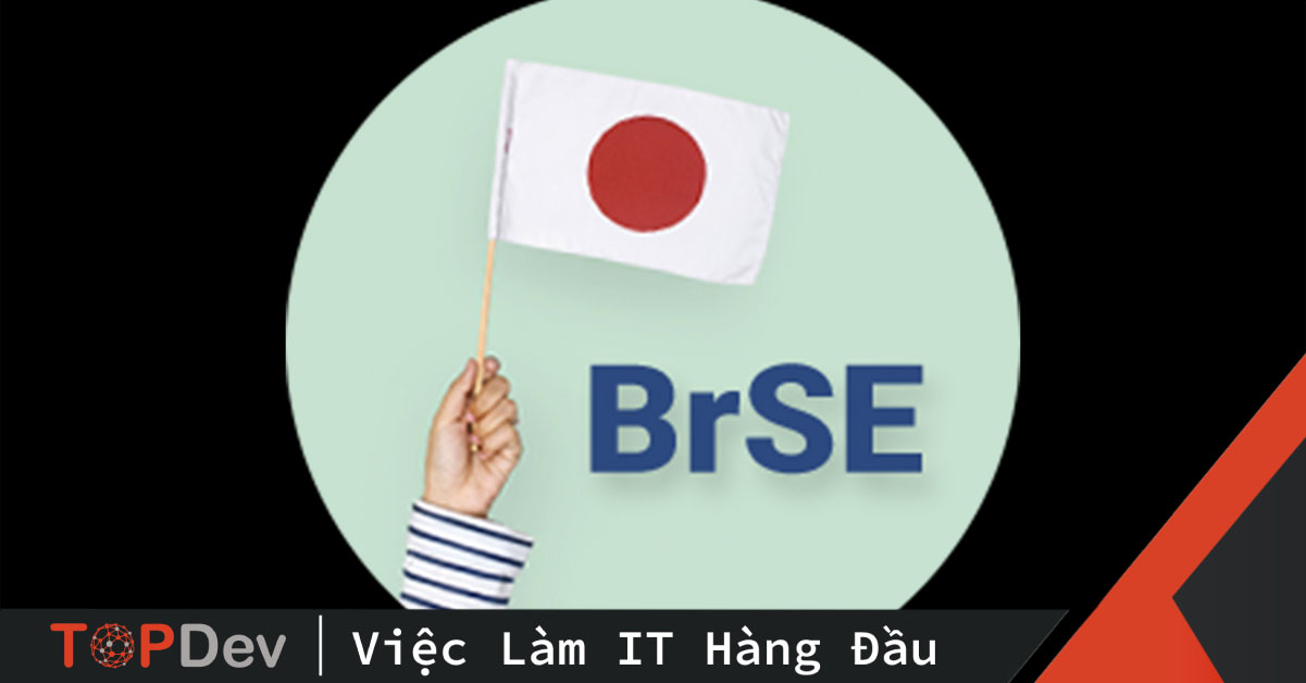 Các Mức Level BrSE Và Mức Lương Tương Ứng | TopDev