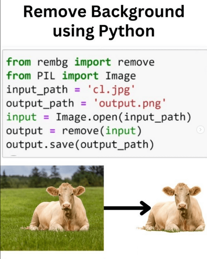 Python là gì? Tổng hợp kiến thức cho người mới bắt đầu | TopDev