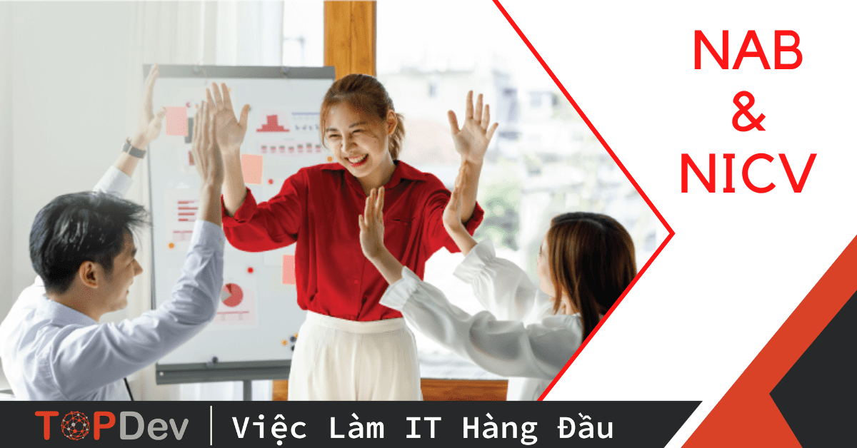 Giới thiệu về ngân hàng NAB & NICV