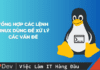 Linux là gì? Tại sao lập trình viên nên biết cách sử dụng Linux